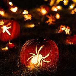 8 Spooky Piano Songs to Learn for Halloween 2024 | flowkey