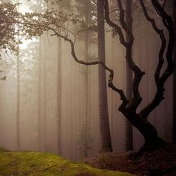 8 Spooky Piano Songs to Learn for Halloween 2025 | flowkey